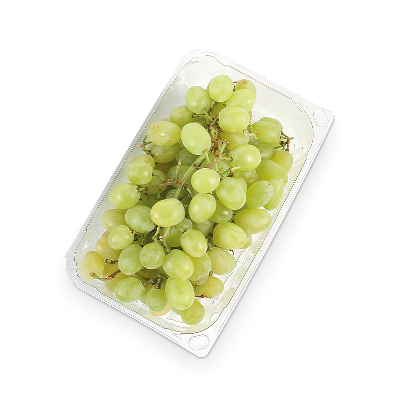 TopCC AG: TopCC Muri bei Bern